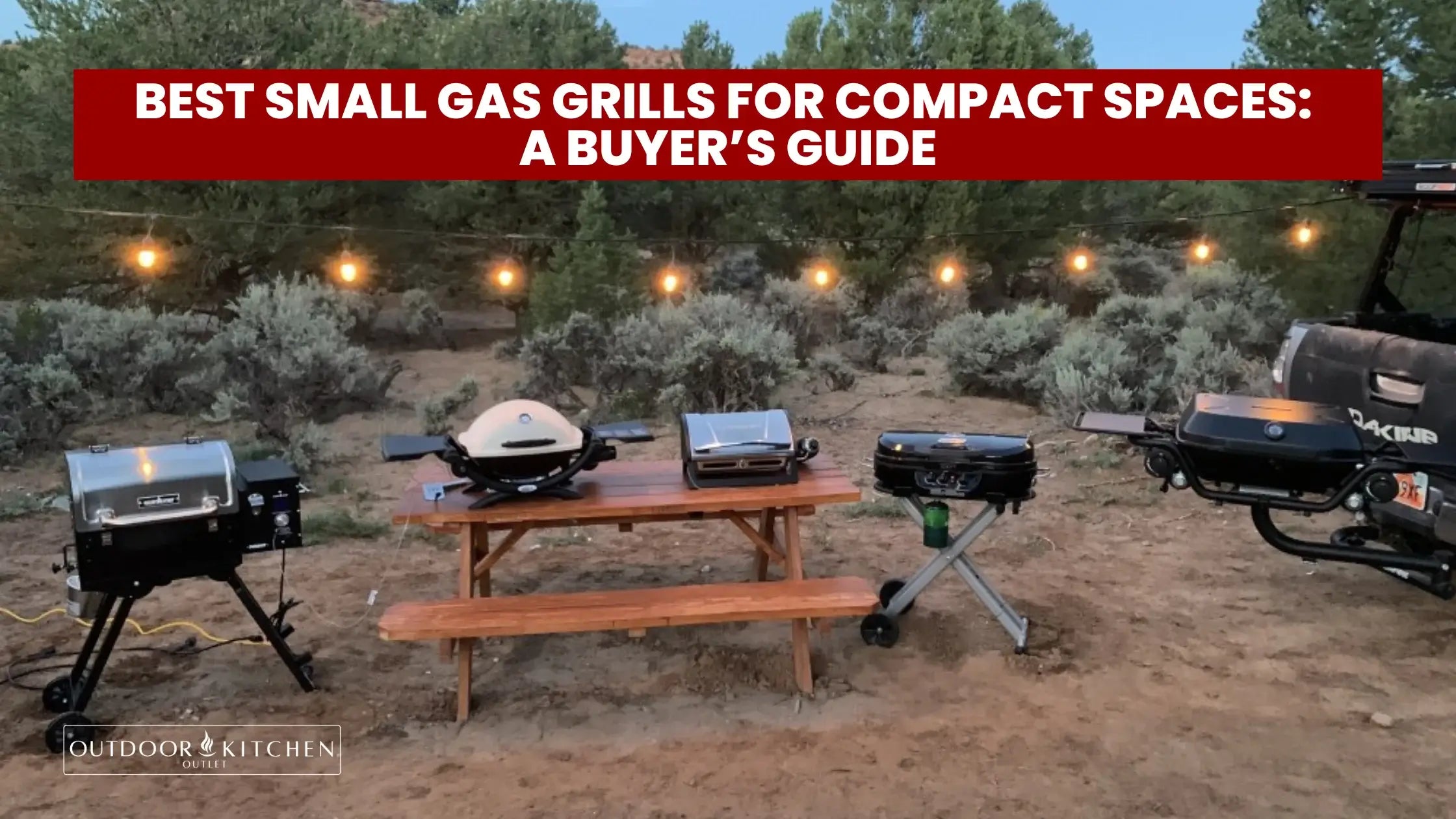 Best Small Gas Grills Buyer’s Guide